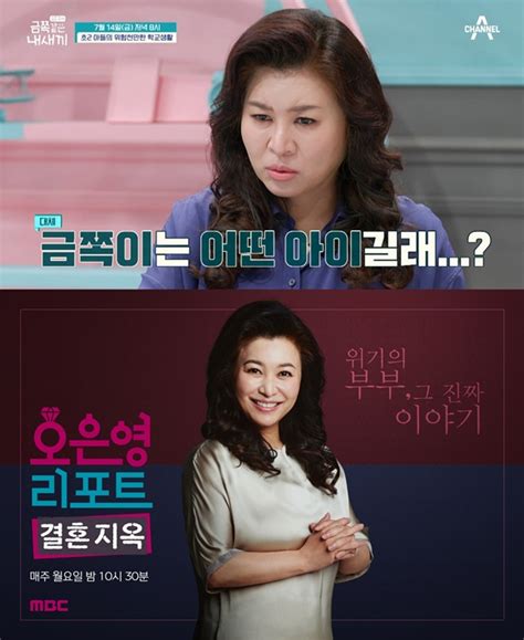 실화여서 더 생생하다 해결책 제시하는 상담 예능 TF프리즘 연예 기사 더팩트