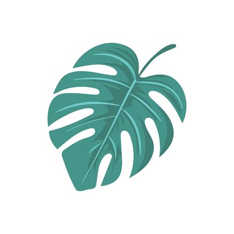Premium Vector Tropical Leaves Vector Illustration Isolated White