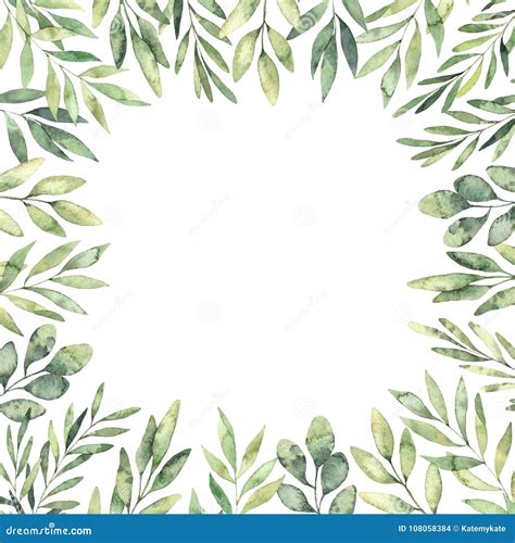 Hand Drawn Watercolor Illustration Botanical Square Frame With Stock