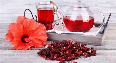 CHÁ DE HIBISCO PARA QUE SERVE Confira os PRINCIPAIS BENEFÍCIOS e saiba