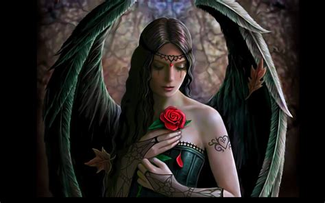 Women With Rose Wallpapers Wallpaper Cave