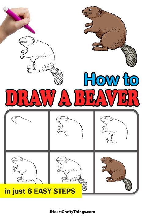 How To Draw A Beaver A Step By Step Guide Cute Easy Drawings