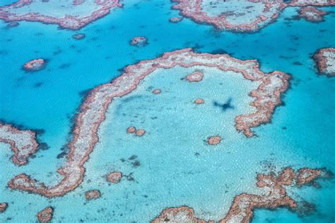 Whitsundays Scenic Flight Heart Reef Whitehaven Hill Inlet Snorkel Tour
