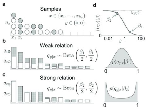 a scheme of our method to estimate the mutual information between two download scientific