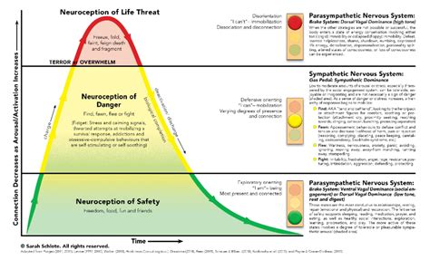 Pin On Psychotherapy