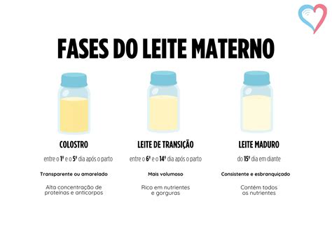 Fases Do Leite Materno Conex O Materna Cangu U Rs