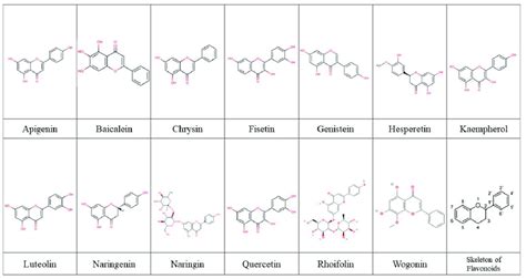 Skeleton Of Flavonoids Structural Skeleton Of Flavonoids Highlighting