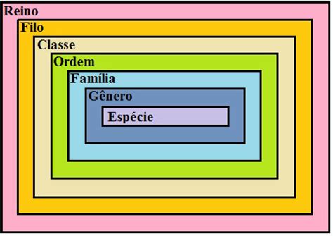 Classificação biológica Brasil Escola