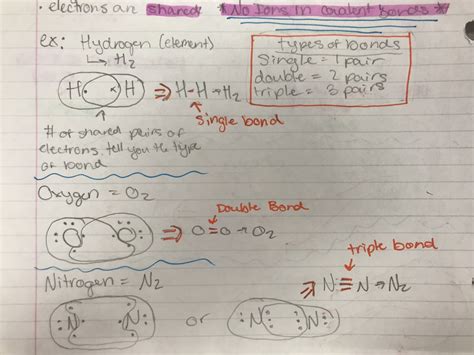 Covalent Bonds Diagram Quizlet