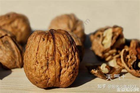 吃核桃的好处 知乎