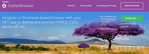 9种在wpf winForm等客户端集成Web网页方案详解全网最全快收藏 知乎