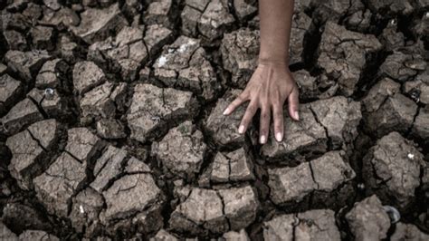 Waspada Puncak El Nino Di Indonesia Hingga Akhir Oktober Begini