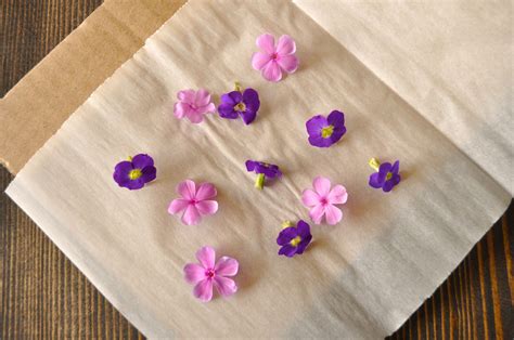 Pressed Flower Candle DIY Welcome Home