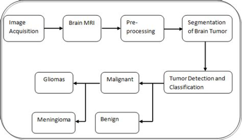 trends in dnn model based classification and segmentation of brain tumor detection