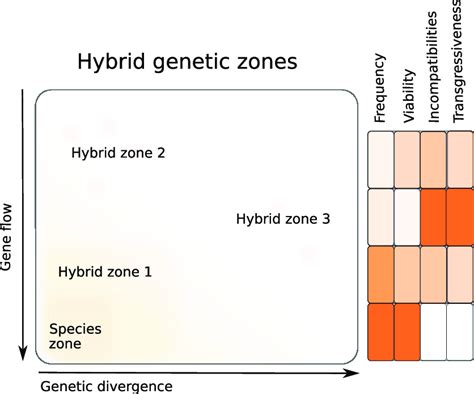 hybrid genetic zones schematic representation of different types of download scientific