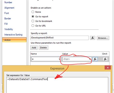 reporting services ssrs 2012 how to pass the commandtext from my dataset as a report