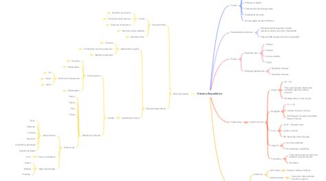 Sistema Esquel Tico Mindmeister Mapa Mental