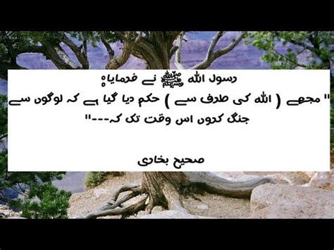 Nabi Pak Saw Ko Allah Ka Hukam Hadees Nabvi In Urdu Bukhari