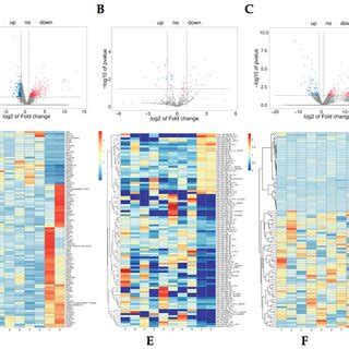 Expression Profiles Of Differentially Expressed RNA In OA Groups A