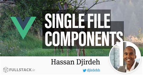 An Introduction To Vue Single File Components 30 Days Of Vue Newline