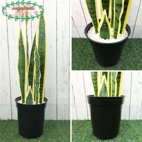 Promo Pohon Hias Daun Lidah Mertua X5 Latex Artificial Pot Effiel