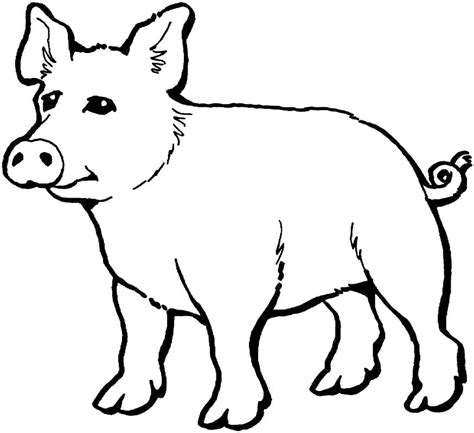 Coloriage Cochon à imprimer sur ColoriageEnfant