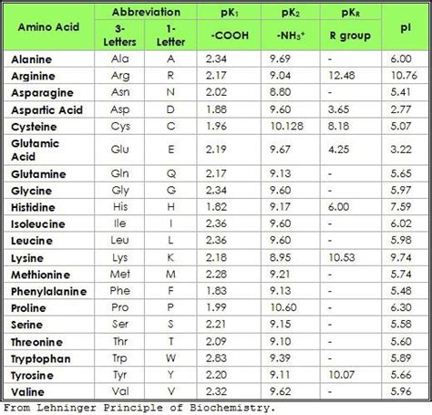 PI For Each Amino Acid Note That Acidic Have PI Of About 3 Basic Have