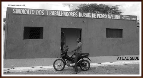 A Hist Ria Do Sindicato Dos Trabalhadores Rurais De Pedro Avelino P A