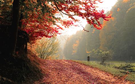 Aesthetic Desktop Autumn Wallpapers Wallpaper Cave