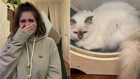 Le Lacrime Di Valentina Figlia Della Moglie Di Nino Frassica