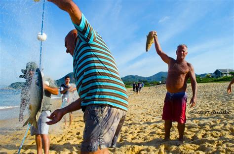 Per Odo Da Pesca Artesanal Da Tainha O Que Pode E O Que N O Pode