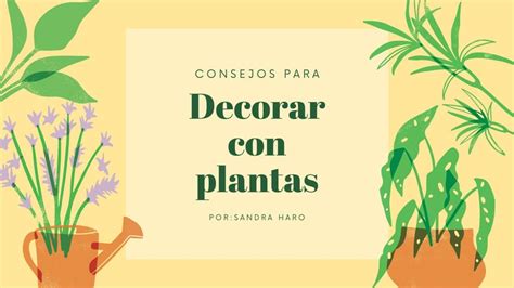 Plantillas De Plantas Gratis Y Personalizables Canva