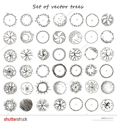 Tree Plan Vector At Vectorified Collection Of Tree Plan Vector