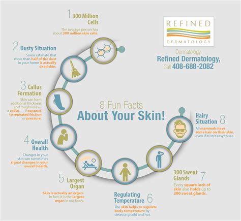 8 Fun Facts About Your Skin Shared Info Graphics