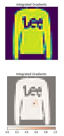 captum interpret predictions of pytorch image classification networks