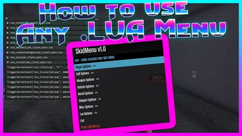 tutorial fivem how to use any lua menu with lua executor 2020 dumper bypass eulen