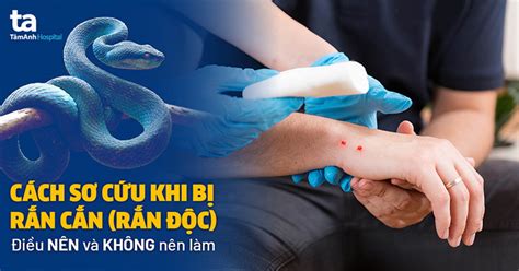 Tìm hiểu mơ thấy rắn cạp nia cắn đánh con gì Cảnh báo sức khỏe và tin