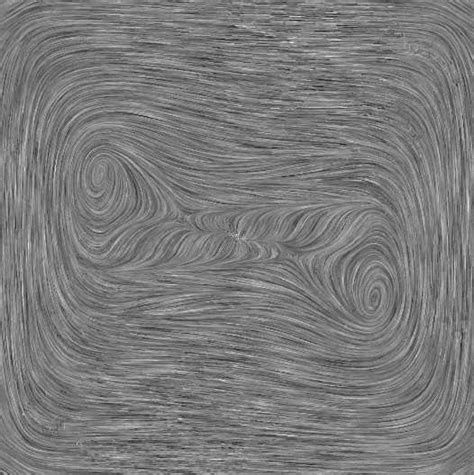 12 line integral convolution visualization of a 2d horizontal slice download scientific