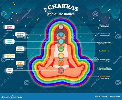 Camadas Do Corpo Da Aura Diagrama Espiritual Da Ilustração Do Vetor Da
