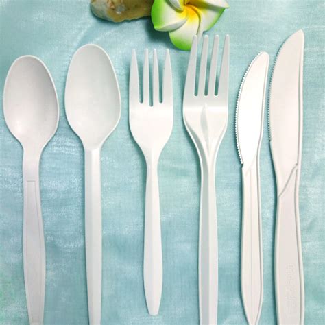 Eco Friendly Biodegradable Disposable Cutlery Set For Hotels And