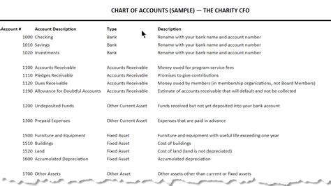 Charts Of Accounts In Excel Nonprofit Chart Of Accounts Template