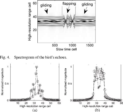 figure 1 from isar imaging for avian species identification with frequency stepped chirp signals