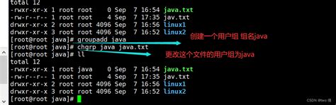 linux常用命令 linux space csdn博客