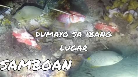 Ep 14 Night Spearfishing Philippines Pamamana Sa Gabi Pabilog Na