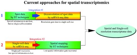 integrative approaches for current spatial transcriptomics for download scientific diagram