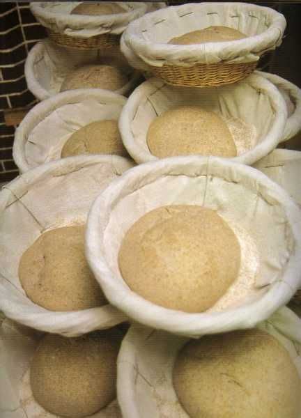 Fermento Natural Levain Rog Rio Shimura Panifica O Panifica O