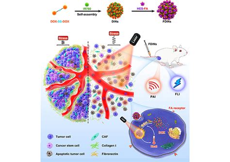 Nanomedicine Strategies To Counteract Cancer Stemness And Chemoresistance
