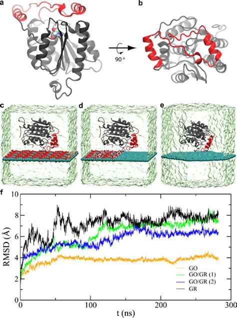 molecular dynamics simulation results a b side and top views of the download scientific