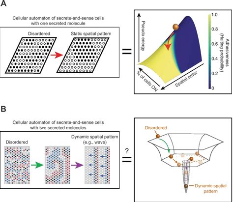 predictive landscapes for cellular automata that self organize spatial download scientific