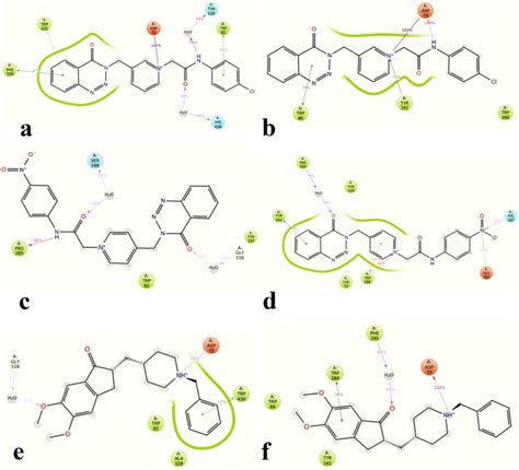 2D Representation Of Ligand Residue Interactions That Occur More Than